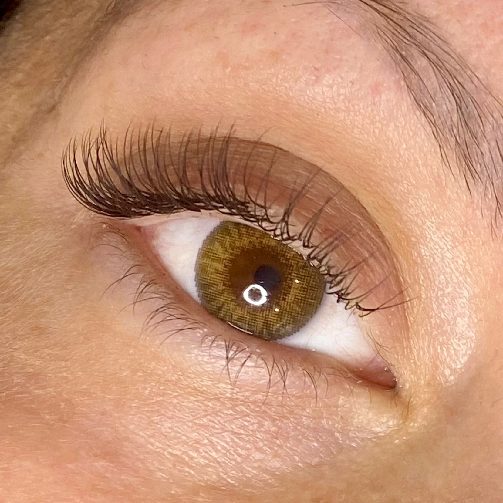 A Must-Read for Lash Artists: The Basics of Eyelashes (Part 2) – Shelash